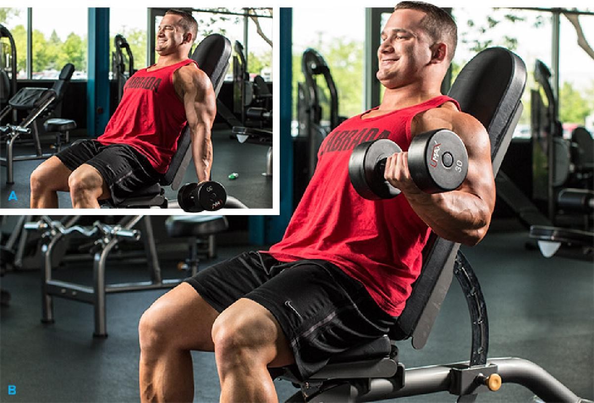 Κάμψεις δικεφάλων σε επικλινή πάγκο | TotalFitness.gr